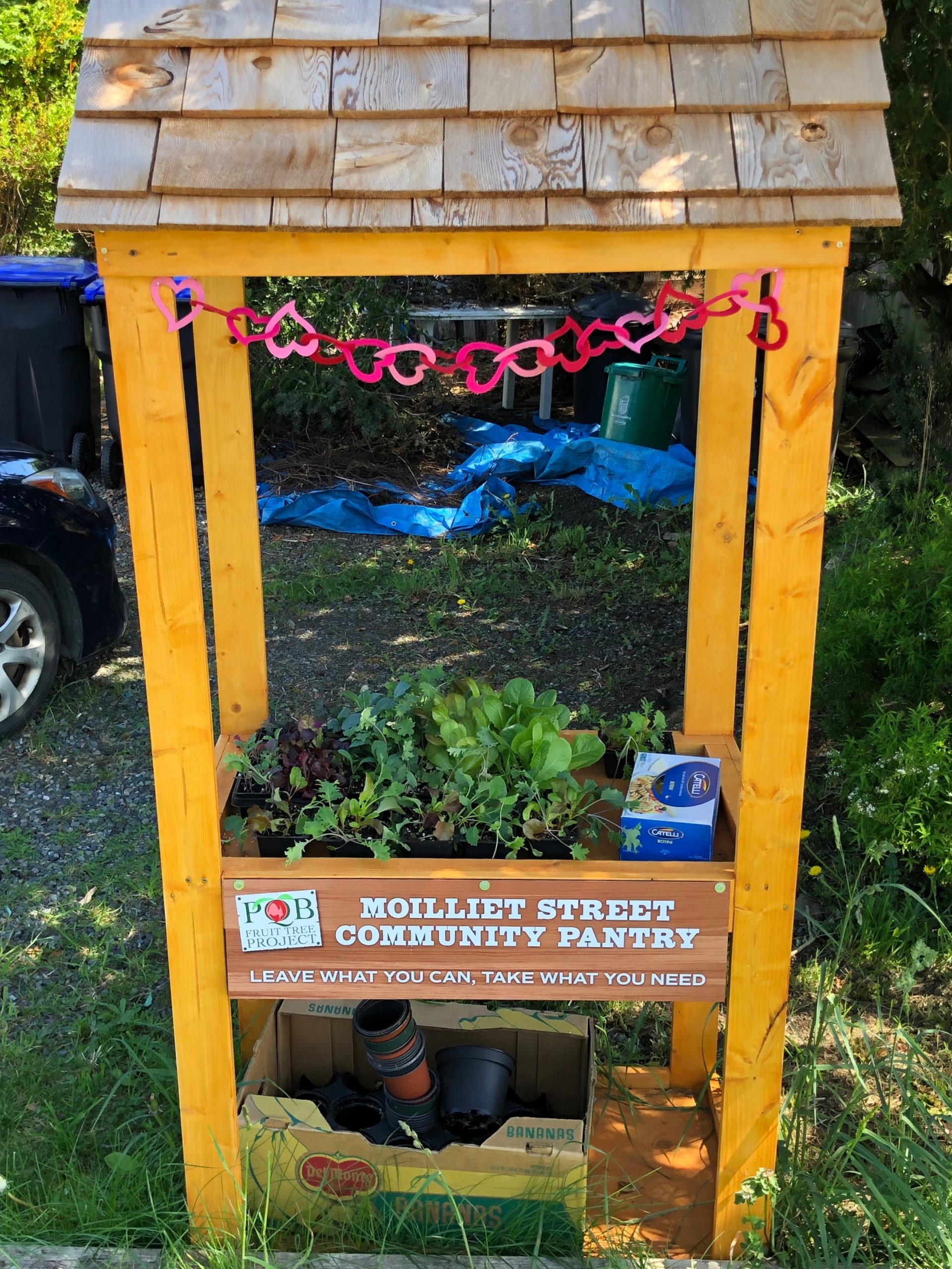 PQB Fruit Tree Project – Promoting local food security and independence ...